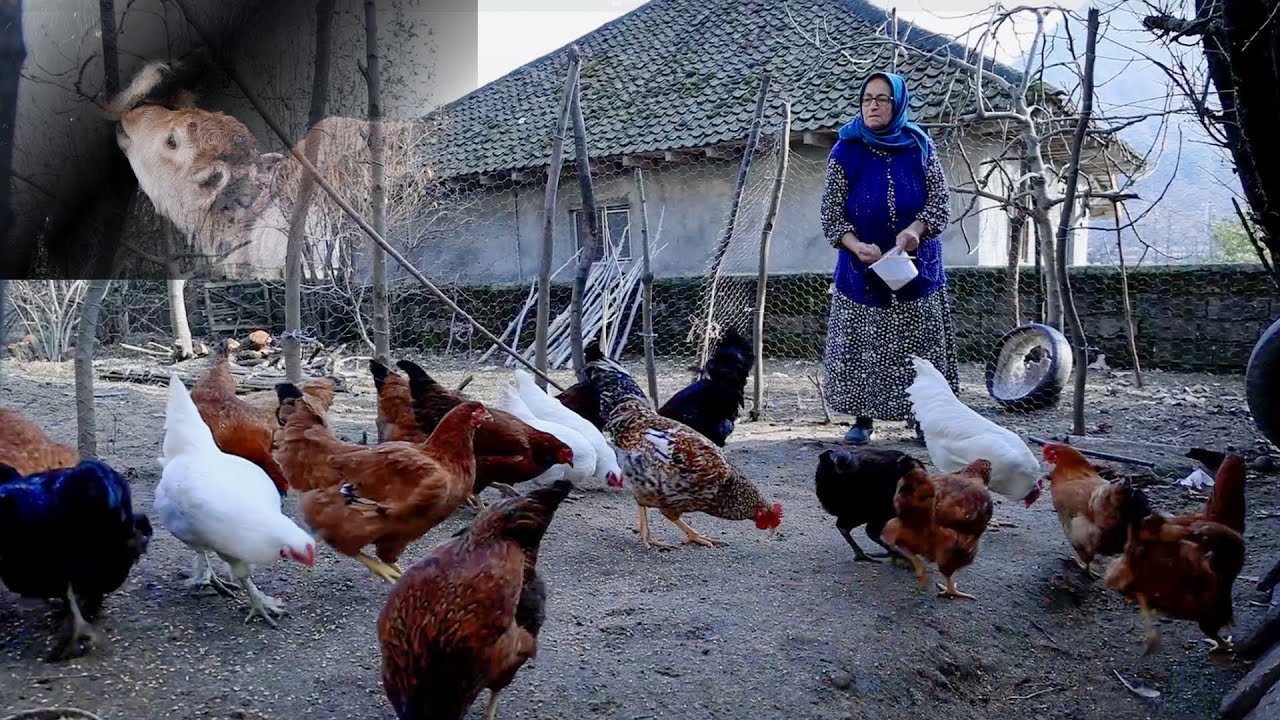 Secrets of Simple and Peaceful Rural Living - YouTube