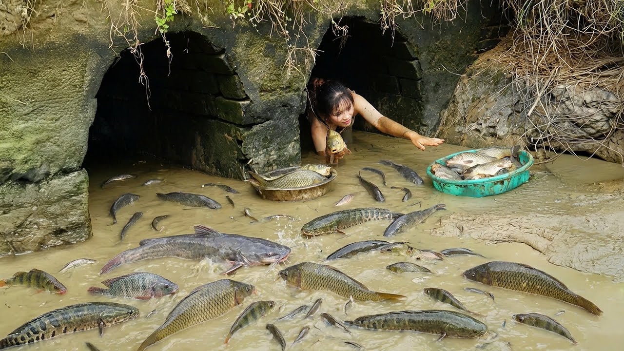 Incredible Fishing Skills! Harvesting Tons of Alien Fish From the Sewer ...