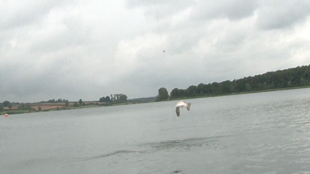 The Contoversial BUNG fishing with Leigh Pond - YouTube