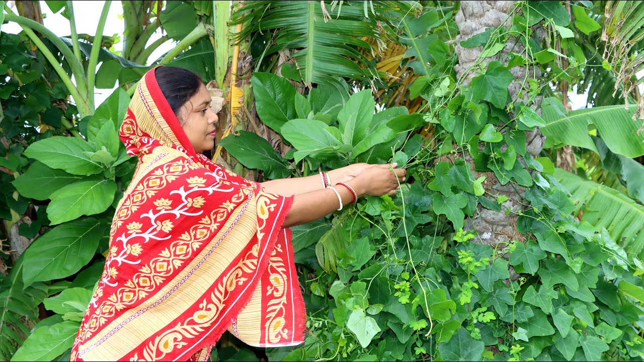 গ্রাম বাংলার হারিয়ে যাওয়া তেলাকুচা শাকের দুটি বিশেষ পদ l Telakucha ...