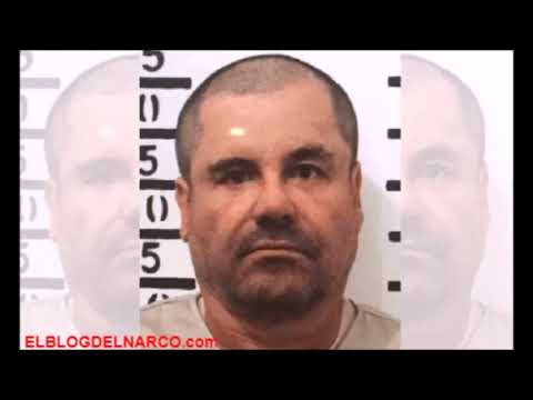 El Chapo Guzmán quería Miss Universo en su territorio para esto - YouTube