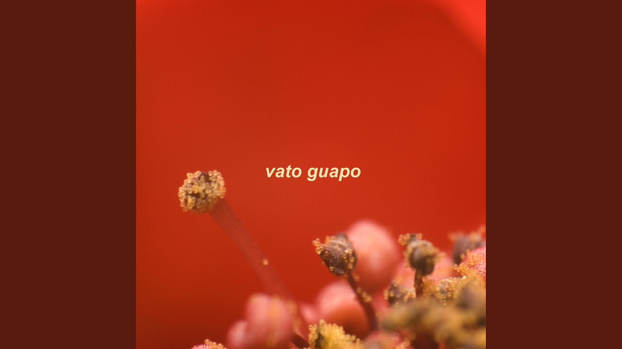 Vato Guapo - YouTube