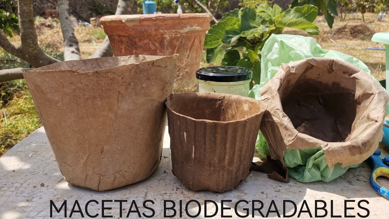 Como hacer macetas biodegradables con carton - YouTube