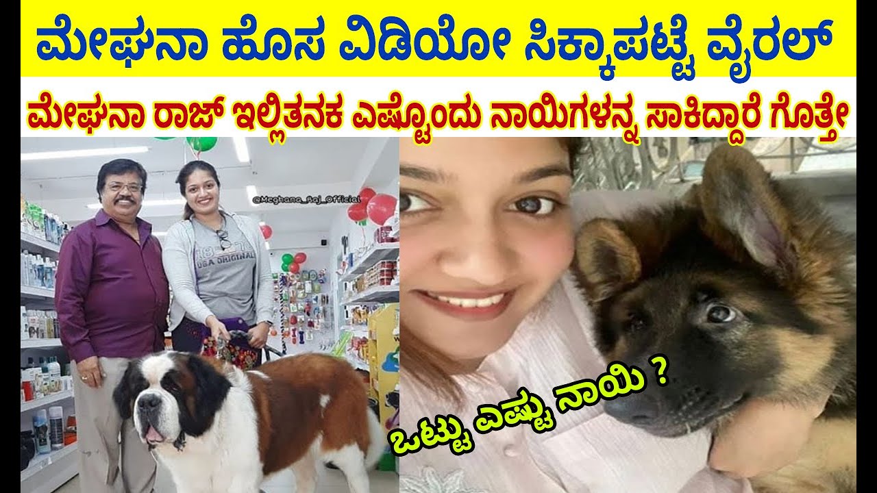 ಮೇಘನಾ ರಾಜ್ ಒಟ್ಟು ಎಷ್ಟು ನಾಯಿ ಸಾಕಿದ್ದಾರೆ ಗೊತ್ತೇ ಹೊಸ ವಿಡಿಯೋ ಸಿಕ್ಕಾಪಟ್ಟೆ ...
