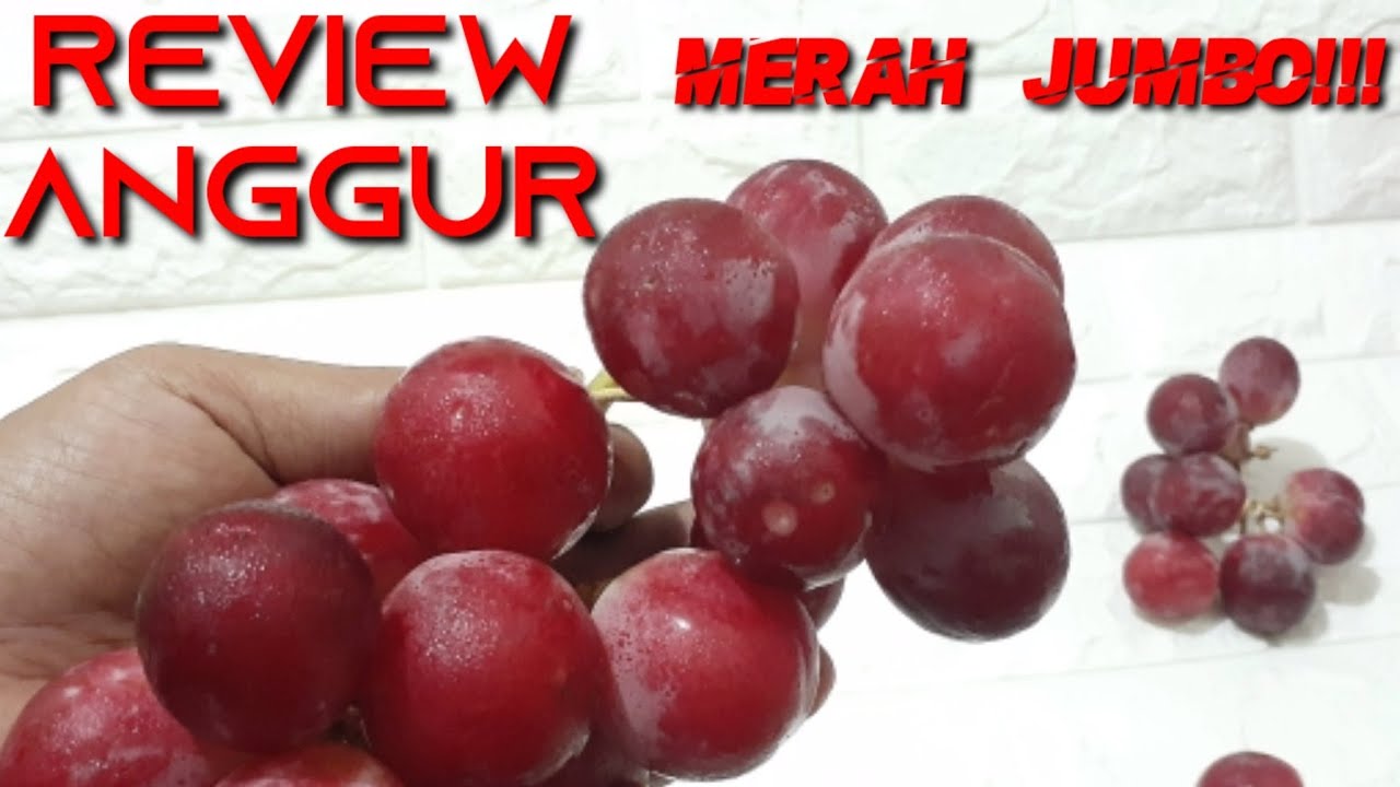 REVIEW ANGGUR MERAH JUMBO!!! || RED GLOBE PERU - YouTube