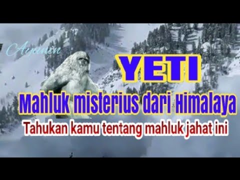 TAHUKAH KAMU TENTANG YETI, MAHLUK MISTERIUS DARI HIMALAYA - YouTube