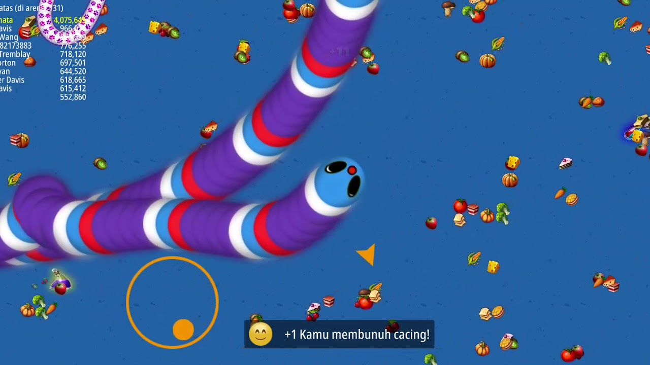 Cacing bambu mampu tumbuh besar - YouTube