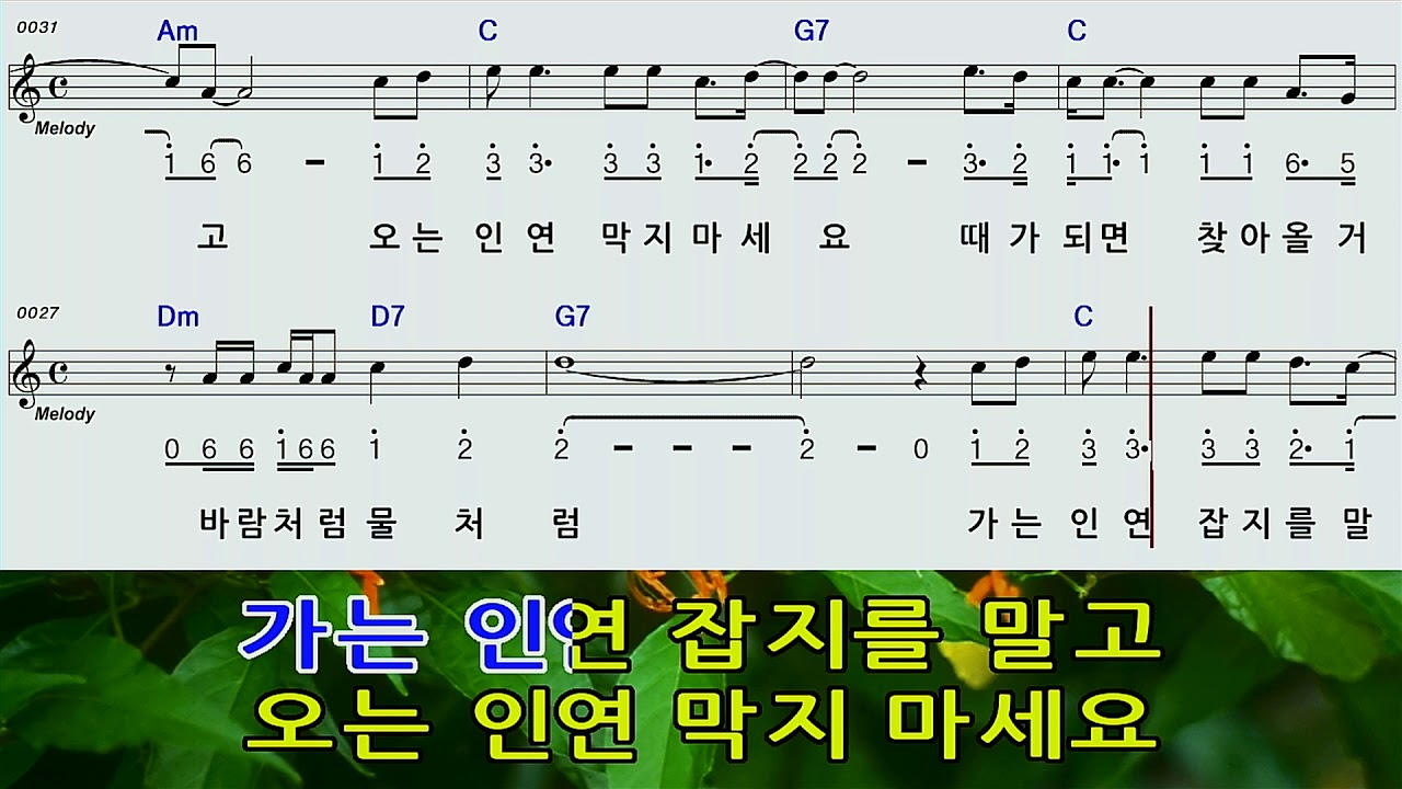 시절인연♡c이찬원신곡하모니카숫자악보영상 Youtube