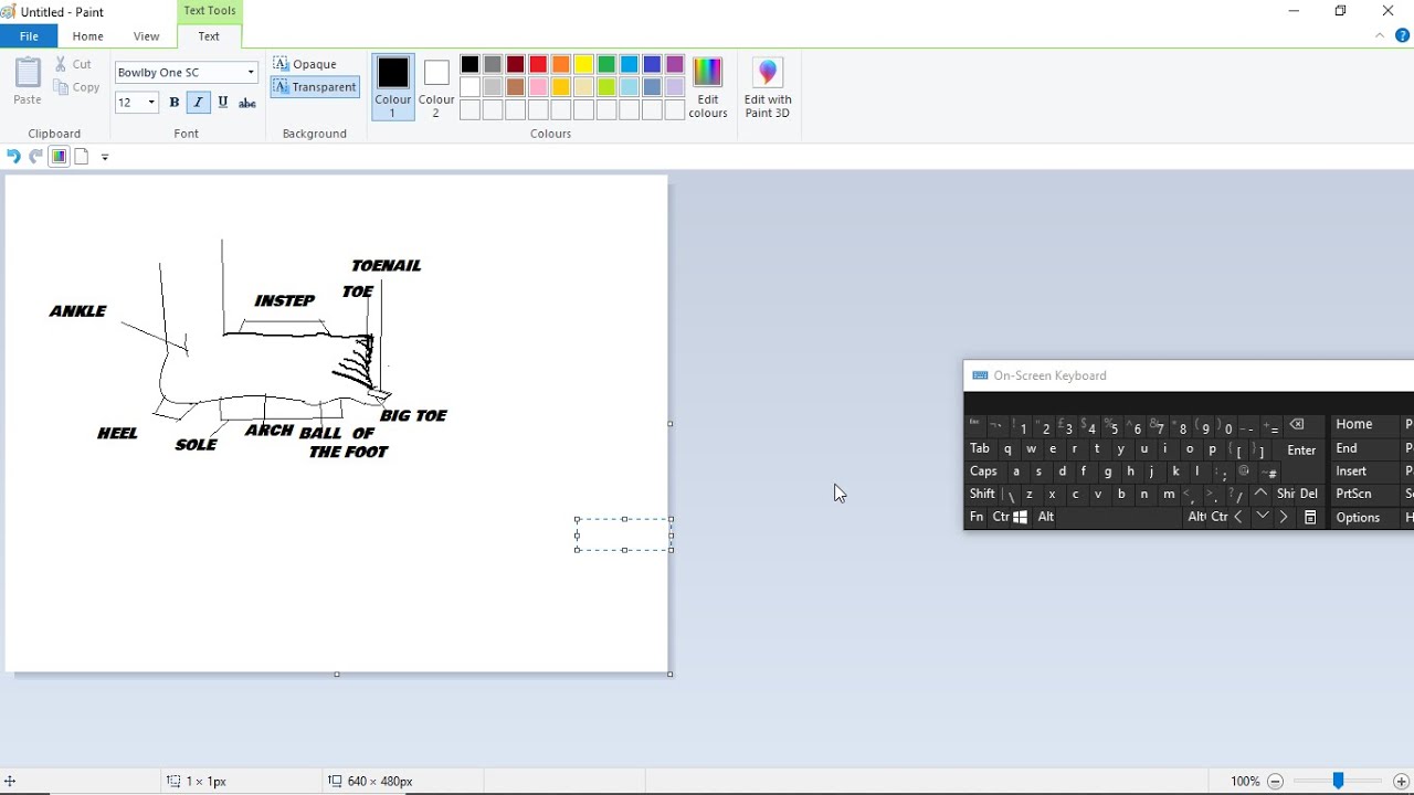 drawing and labeling of leg - YouTube