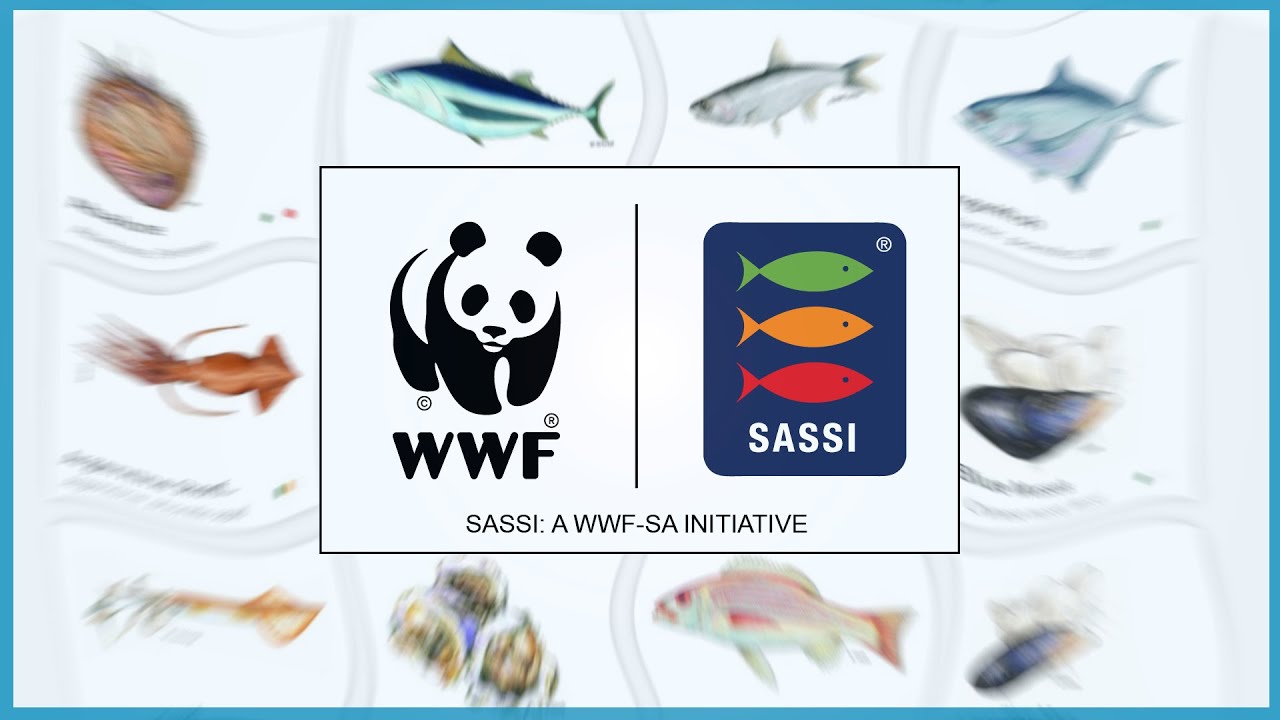 Sustainable fishing, Ecolabels and WWF-SASSI OVER-Explained - YouTube