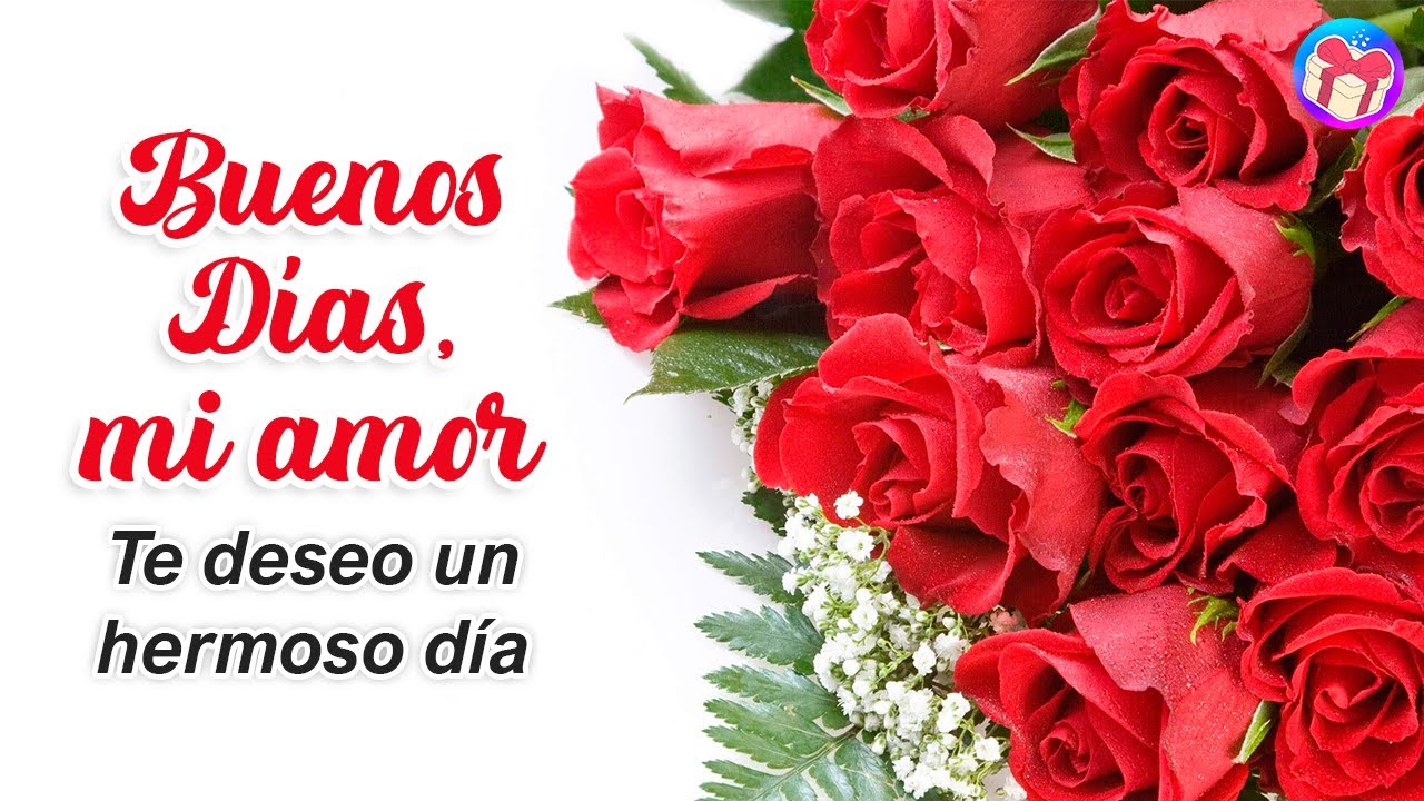 Te deseo un hermoso día MI AMOR ¡Te Amo! 💌 Mira este bonito video de ...