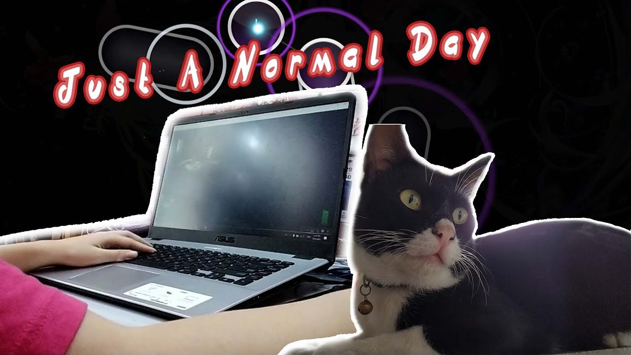 Just A Normal Day - YouTube