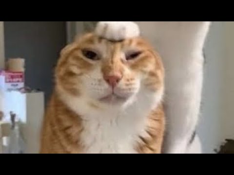 kafka pulling - YouTube