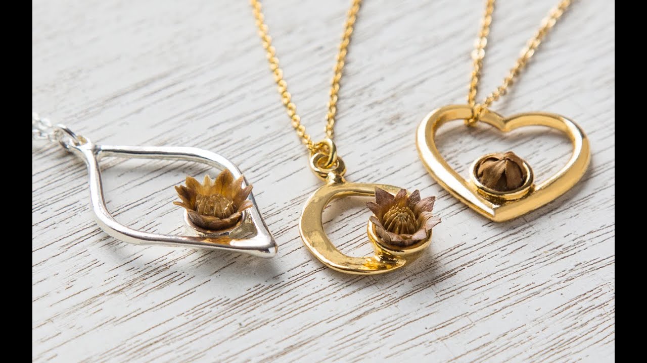 The Blessing Flower - YouTube