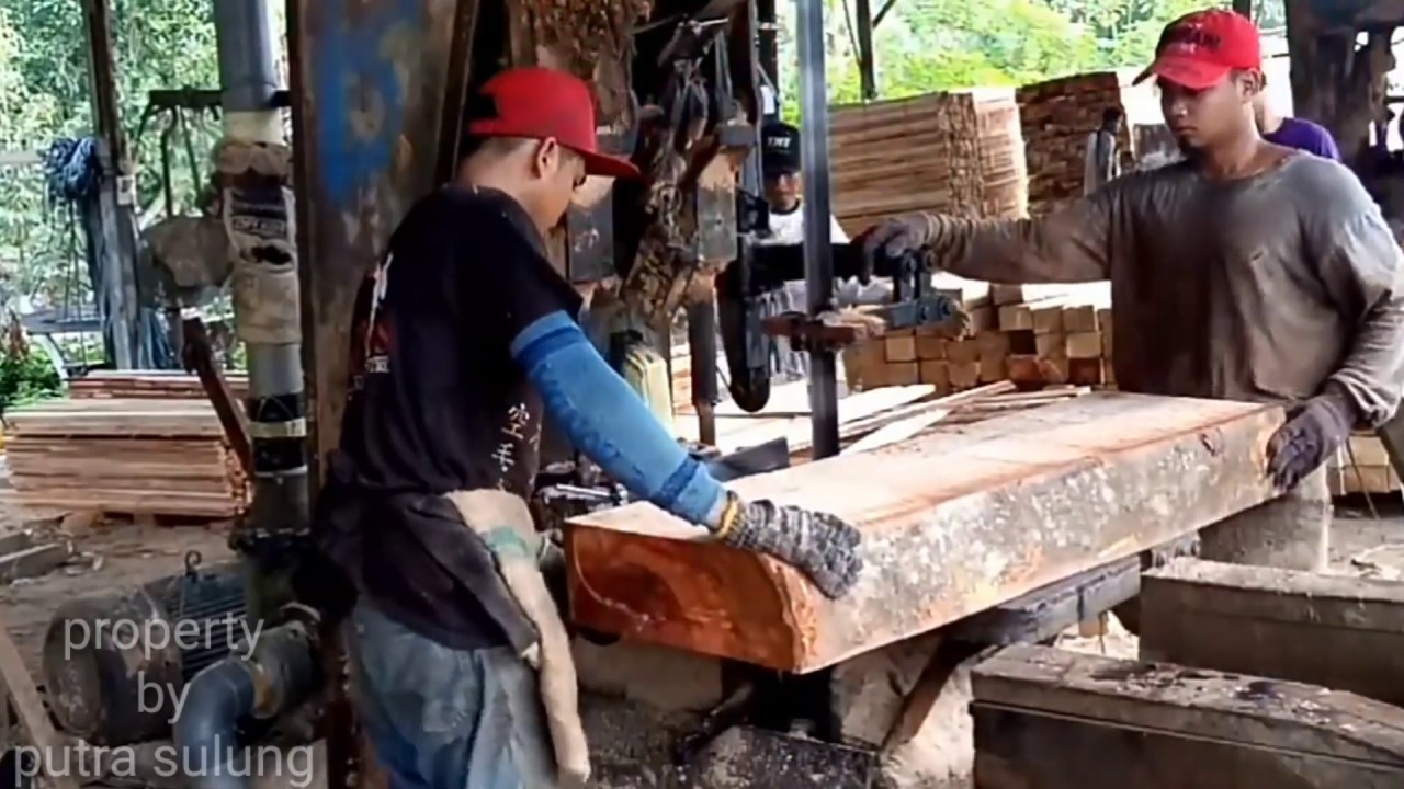 🔴 Durian wood (BIG) part1 - YouTube