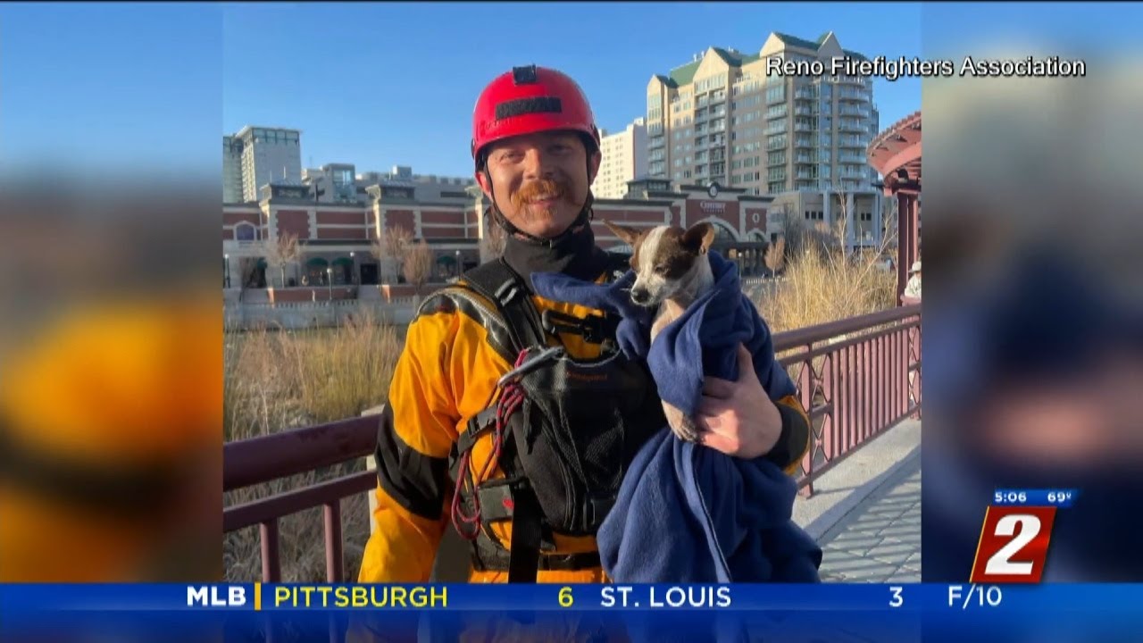 Reno Firefighters Rescue Person And Dog From Truckee River - YouTube