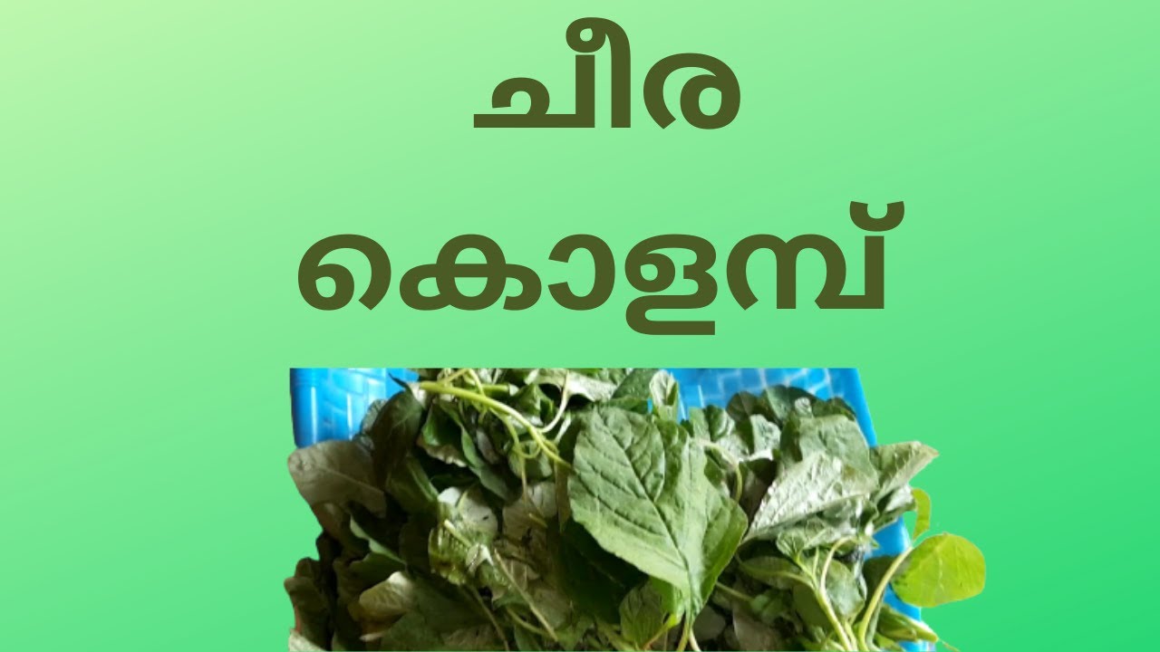 Cheera kolamb| Keerai Kolamb - YouTube