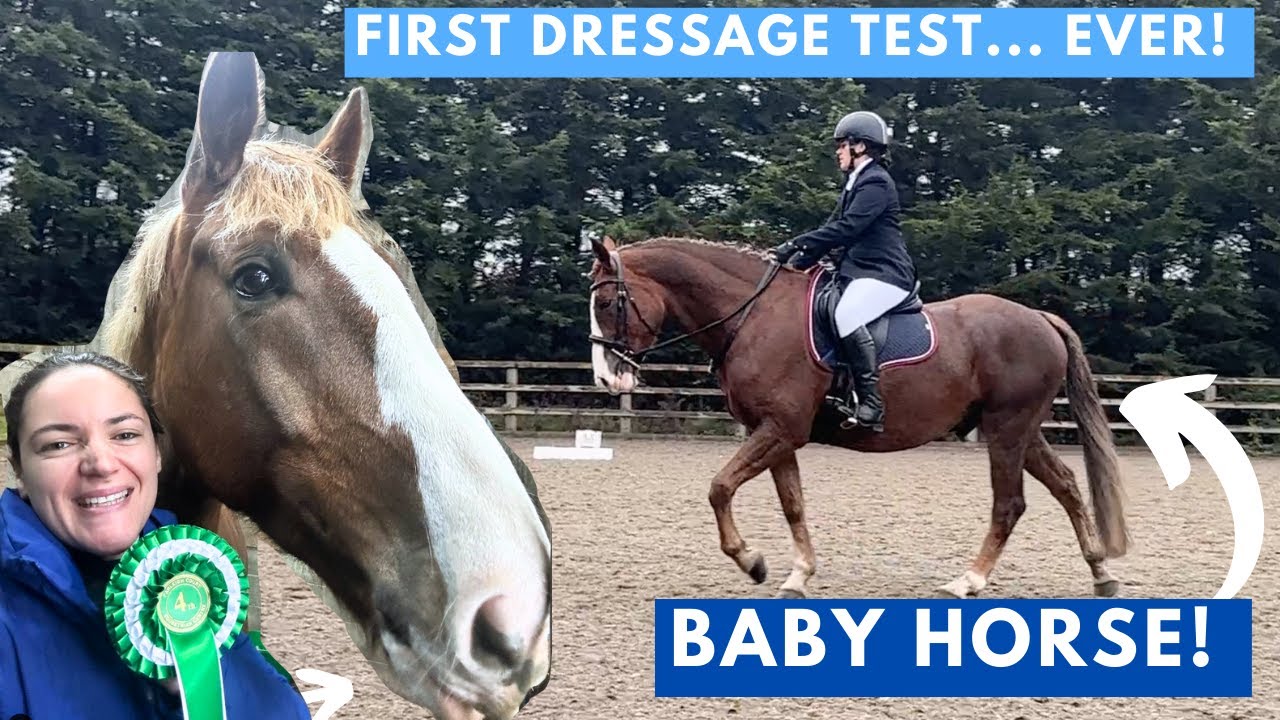 My Young Horse's First Ever Dressage Competition! Riding With Rhi - UK ...