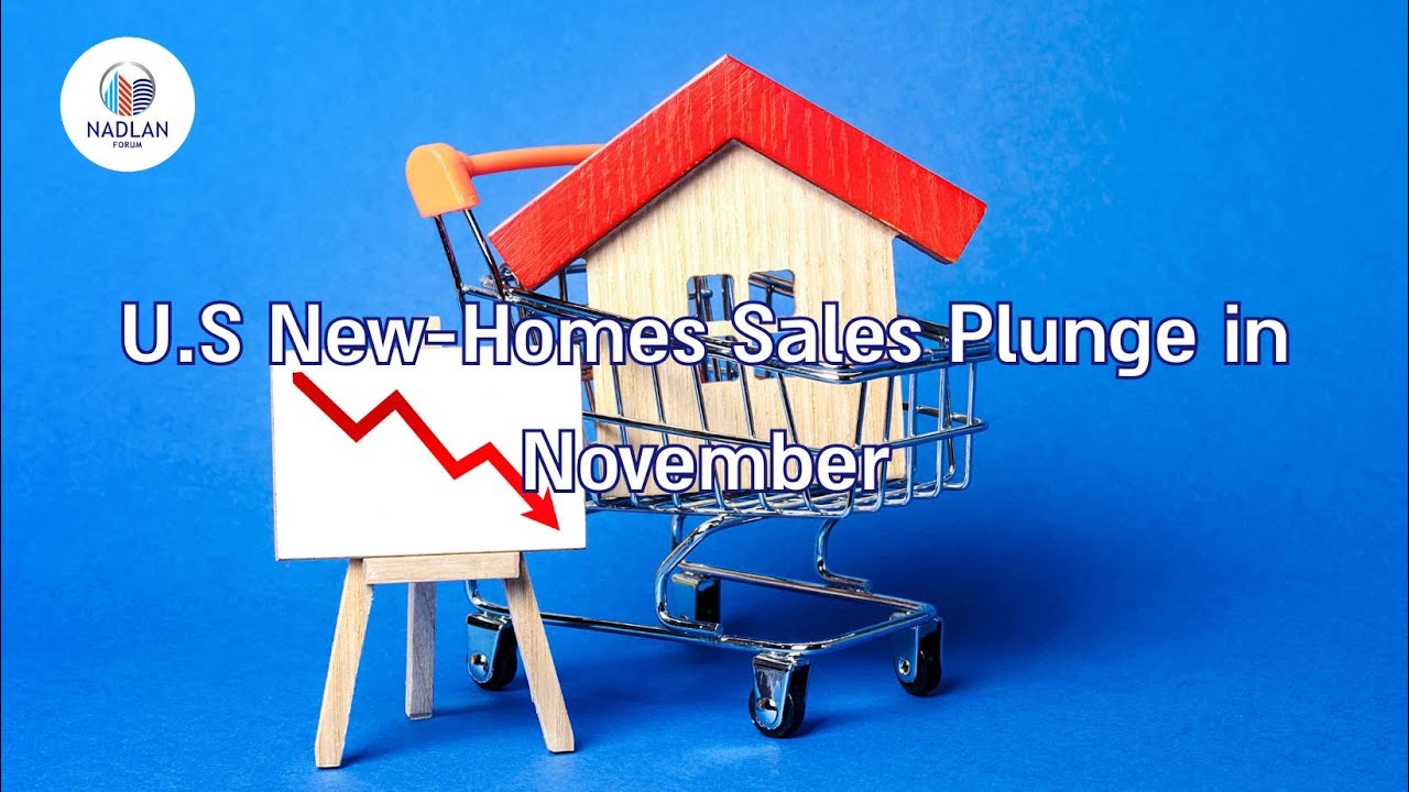 US New-Homes Sales Plunge In November - YouTube