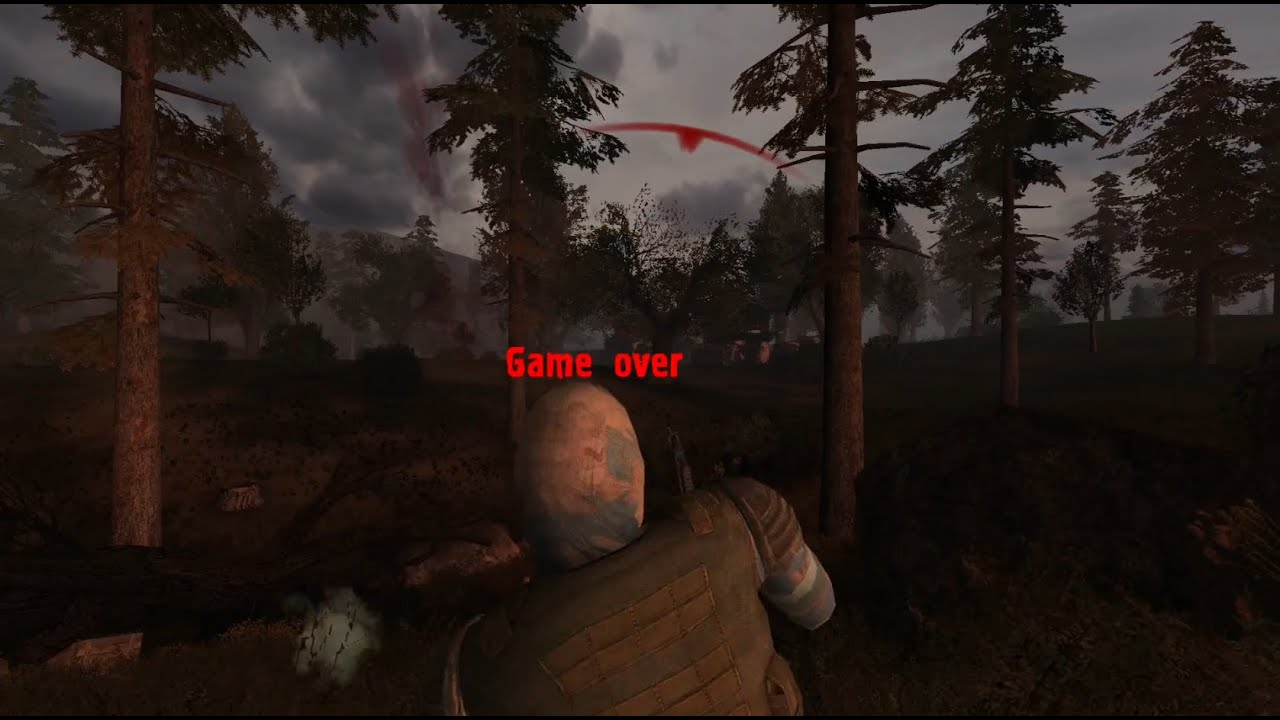 STALKER Clear Sky - taking the wrong exit out of the swamp - YouTube