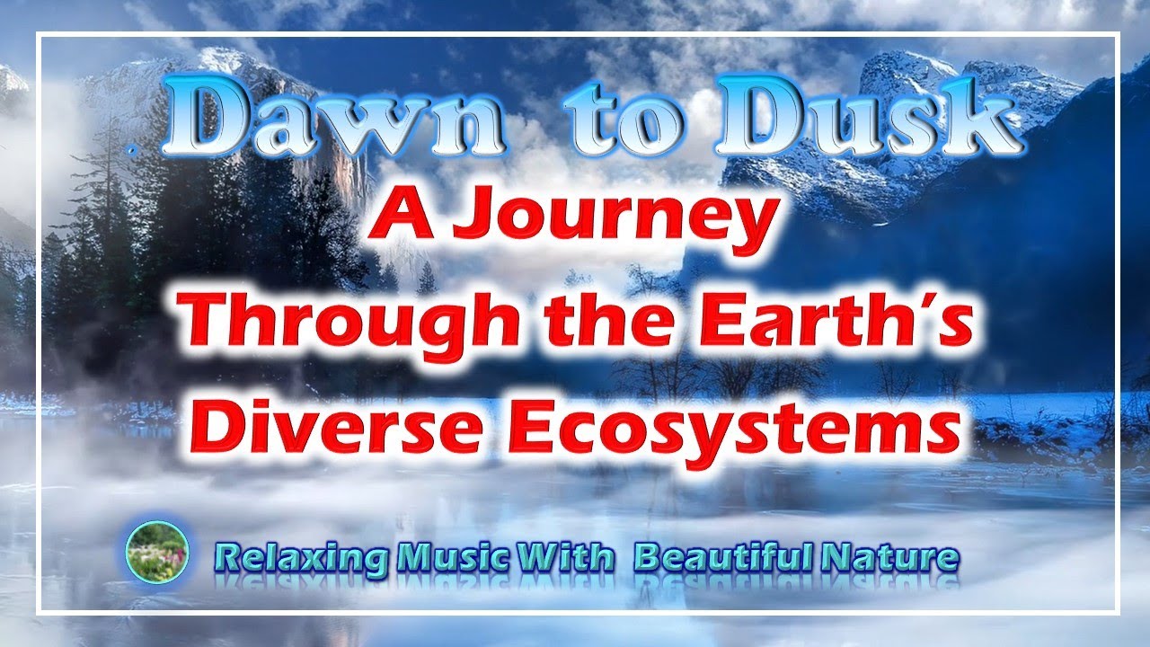 Dawn to dusk - A Journey Through the Earth’s Diverse Ecosystems - YouTube