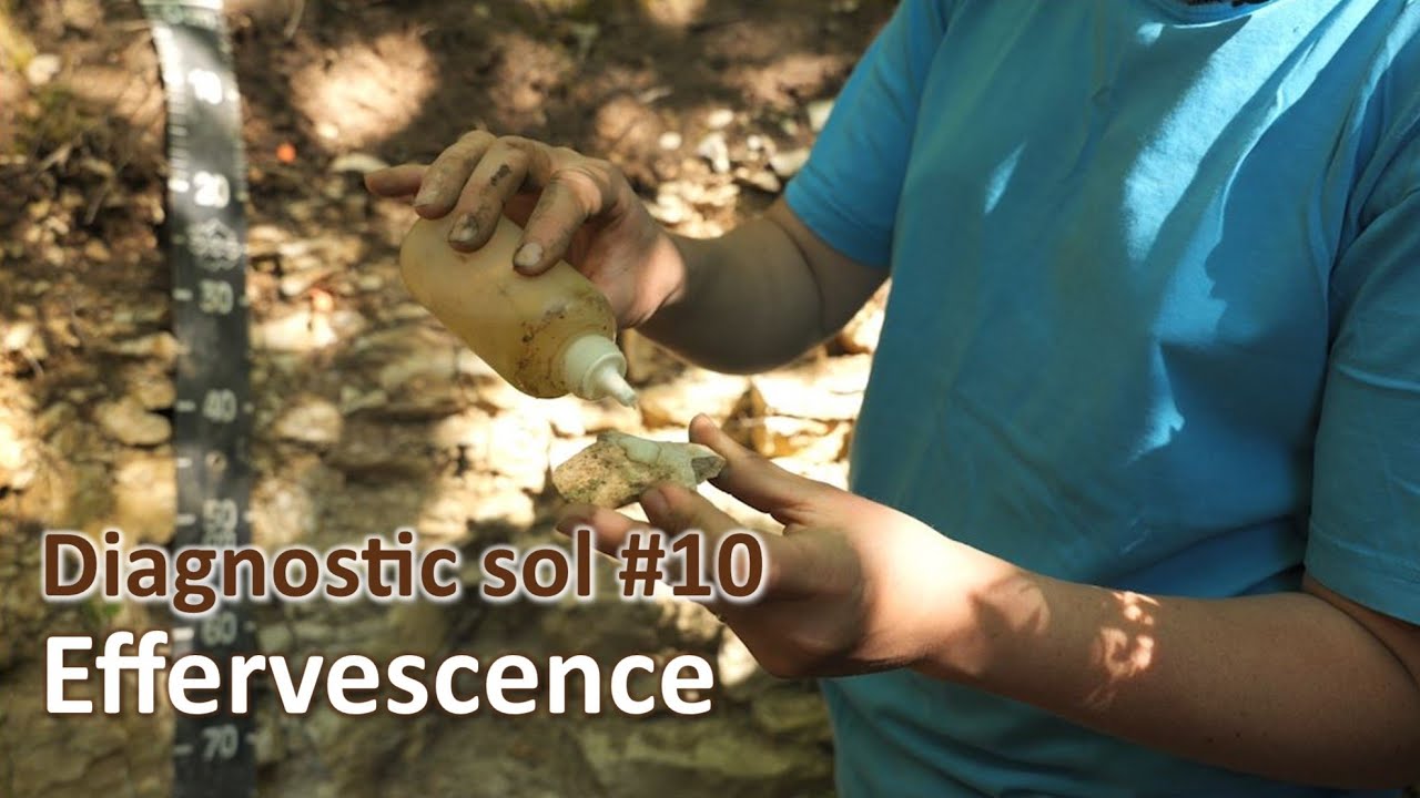 Diagnostic sol #10 | Effervescence - YouTube
