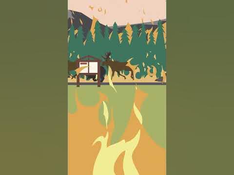 Practice Fire Safety - Camper’s Code #shorts #youtubeshorts #fyp # ...