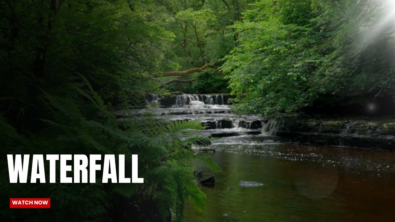Peaceful Waterfall in the Forest: Nature Sounds for Relaxing - YouTube