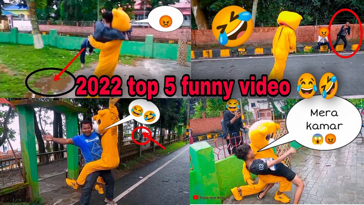 Top 5 best funny video 2022 😂 | Teddy bear funny video - YouTube