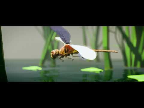 Dragonfly modeling and animation - Blender - YouTube