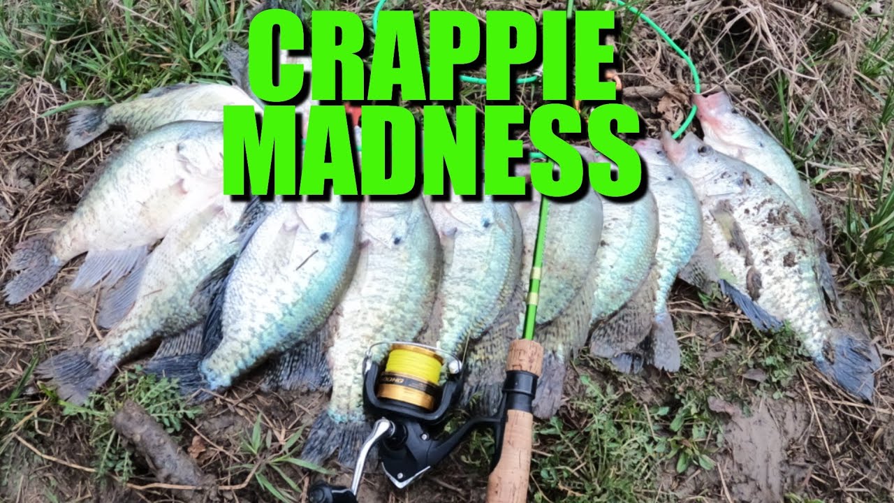 Crappie Madness: Non-Stop Action! - YouTube