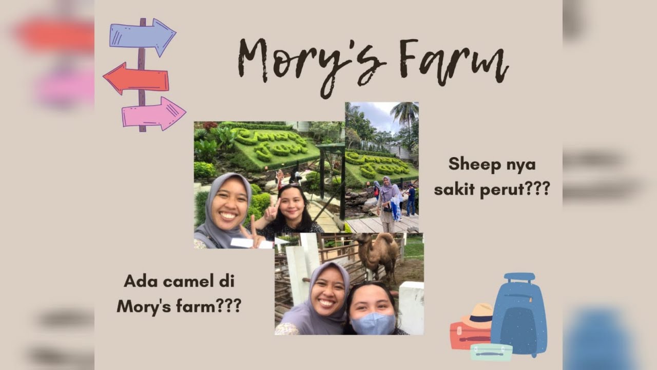 EXPLORE MORY'S FARM | SHEEP NYA SAKIT PERUT??? - YouTube