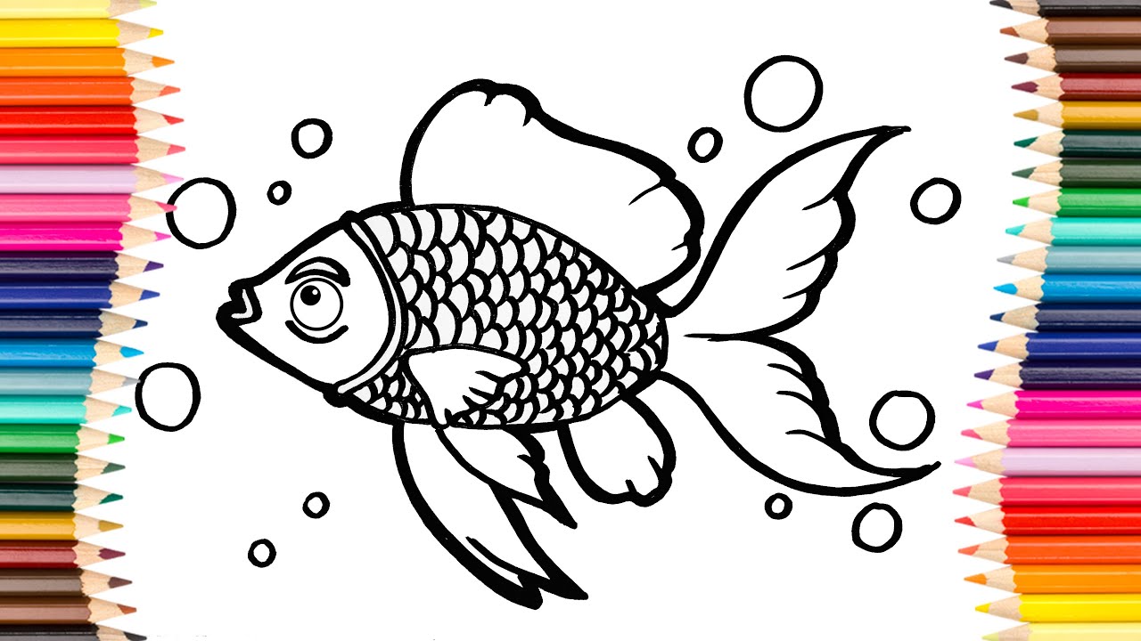 Fish Set. How to Draw a Fish. - YouTube