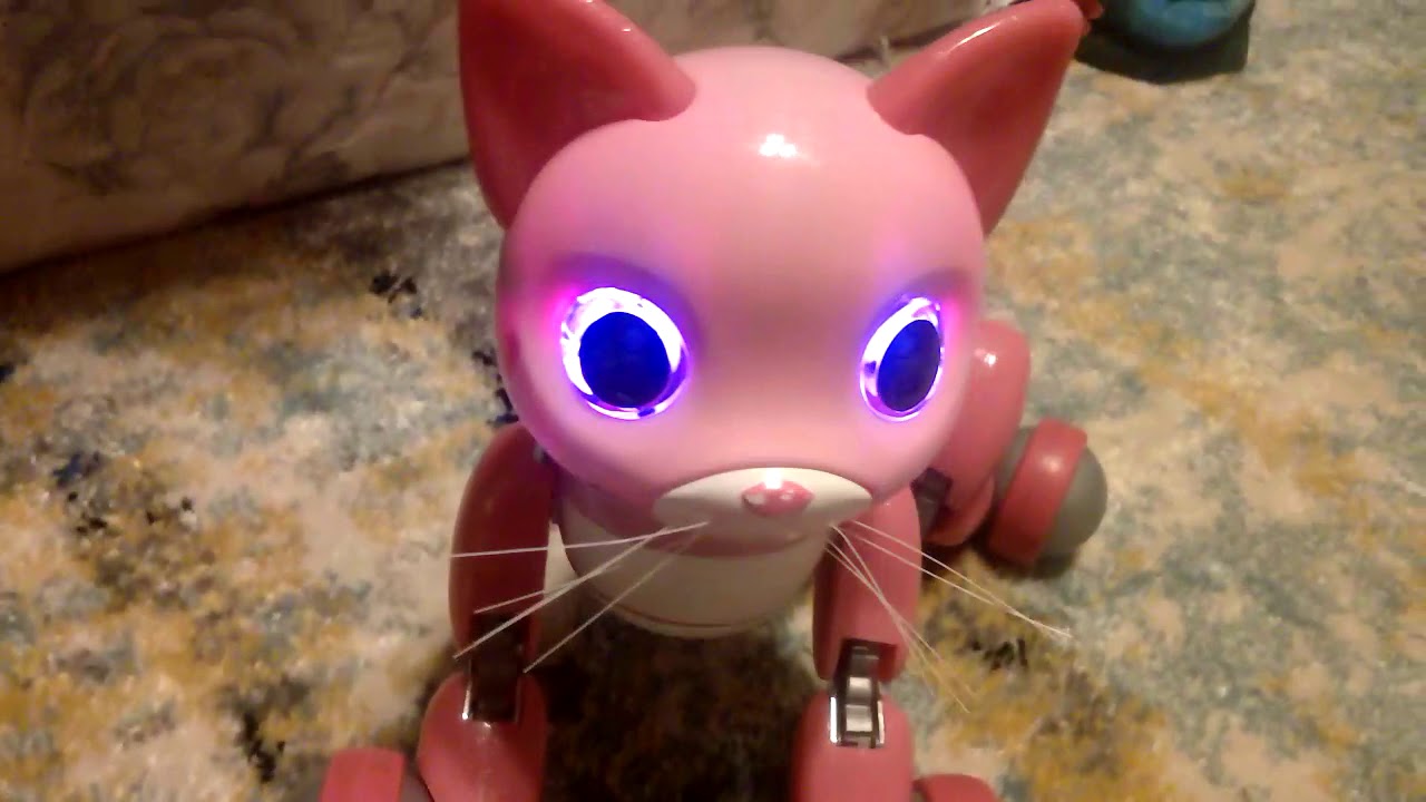 story I made only using my robo cats - YouTube