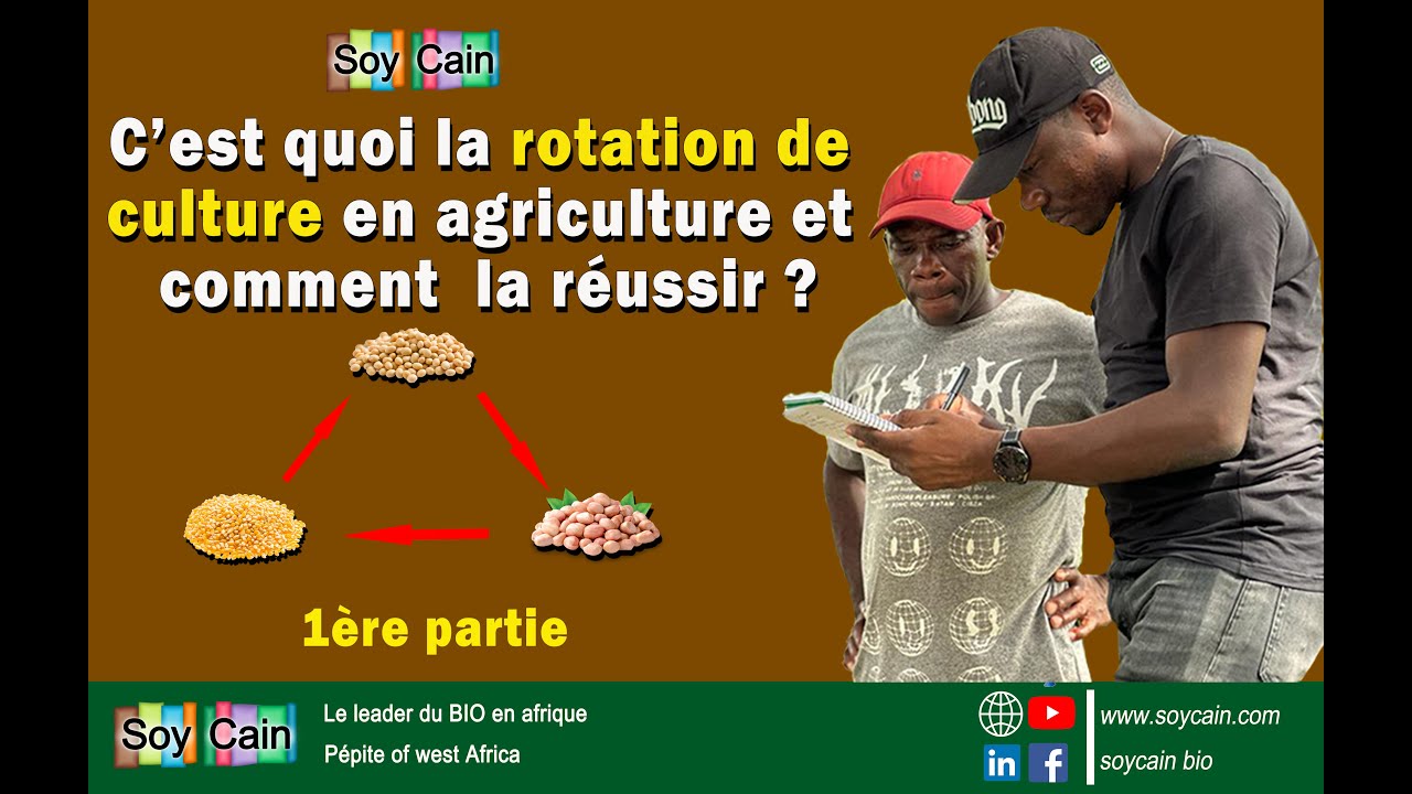 Rotation des cultures en agriculture biologique. Partie I - YouTube