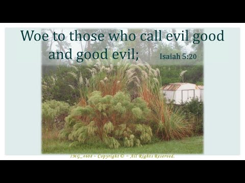 Woe to Those Who Call Evil Good and Good Evil ~ Isaiah 5:20 - YouTube
