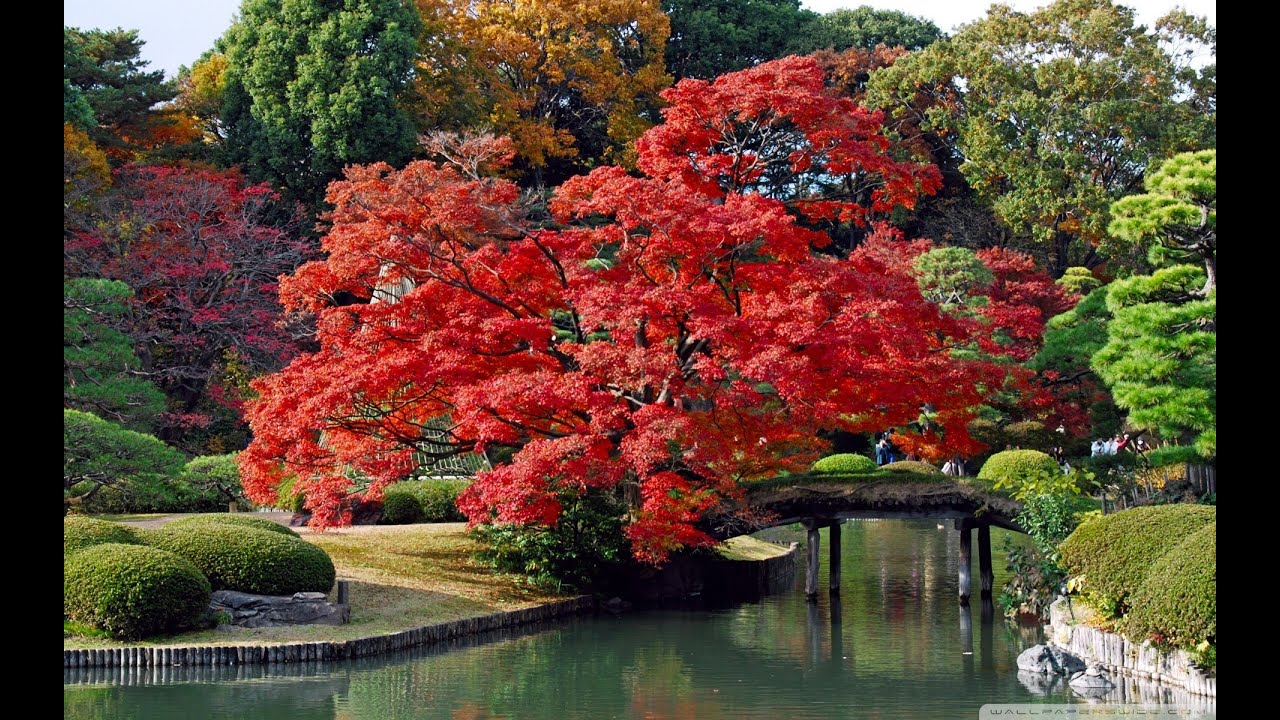 Lugares bellos de Japón te dejamos los mejores paisajes de japón - YouTube