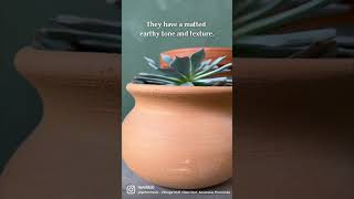 Why Unfinished Clay is Awesome For Plants.