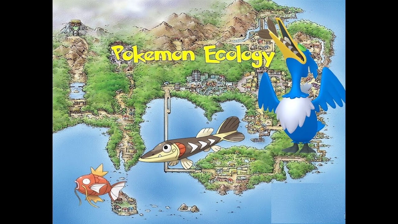 Pokemon Ecology Food Chain - YouTube