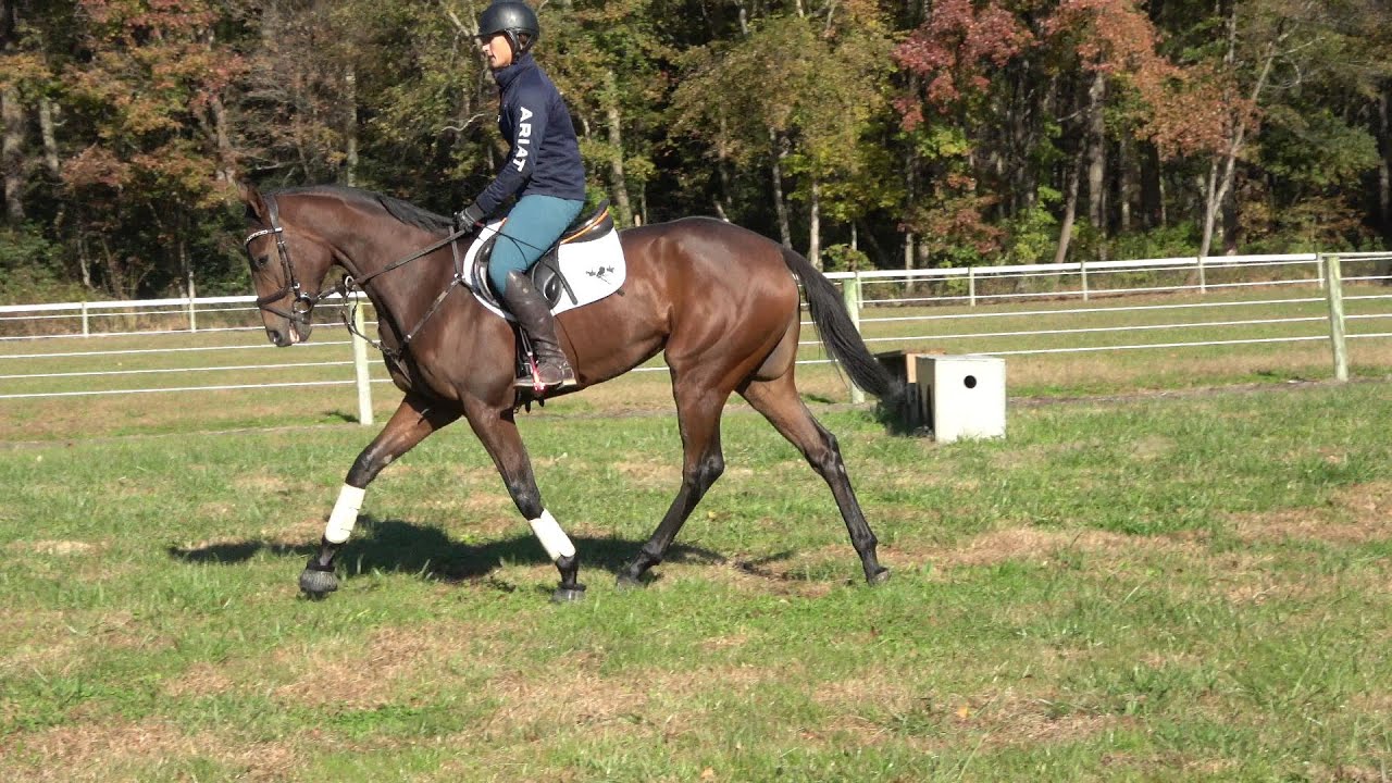 Big Time Operator in field 11 8 21 - YouTube