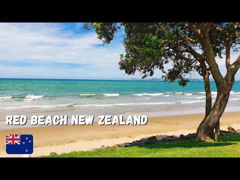 Red Beach Auckland New Zealand - YouTube