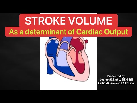 STROKE VOLUME - YouTube