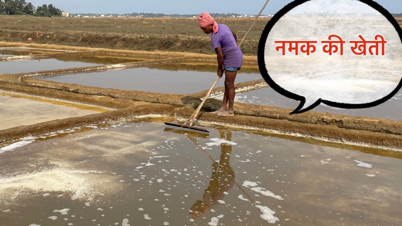Salt Farming In Odisha | Natural Salt Making Process | #outdoorboysin ...