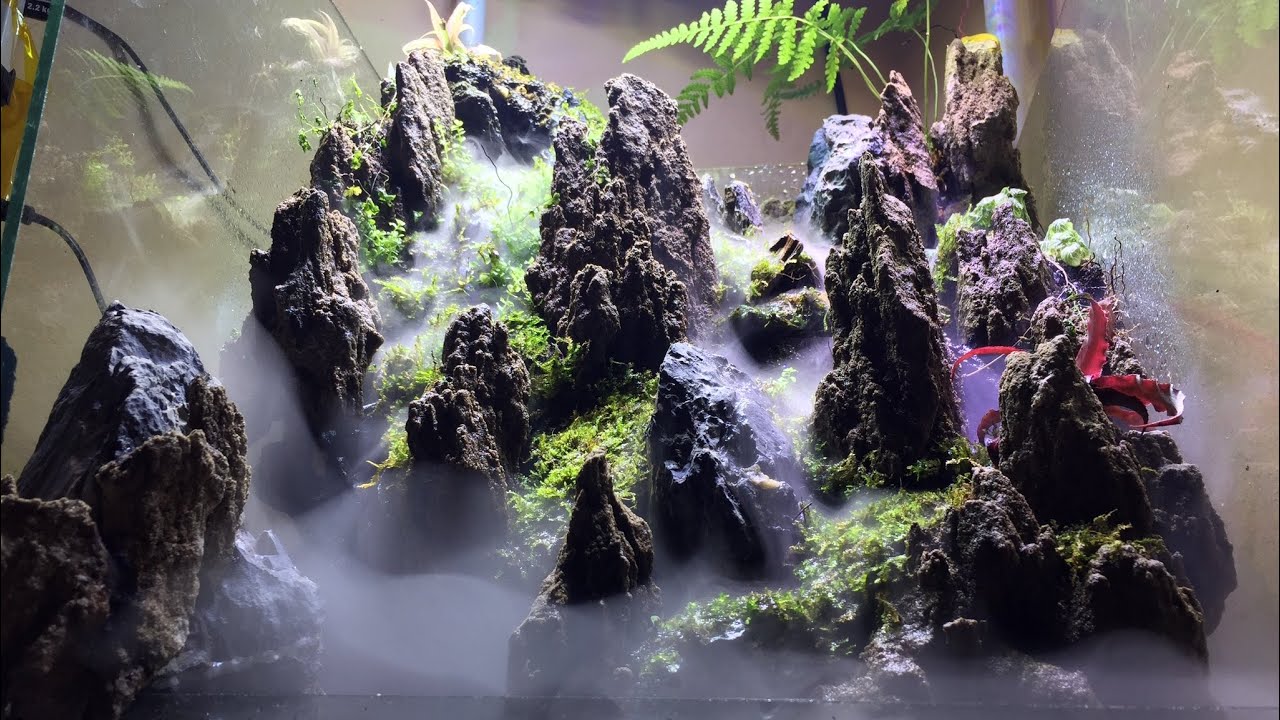 Paludarium waterfall menggunakan mist maker - YouTube