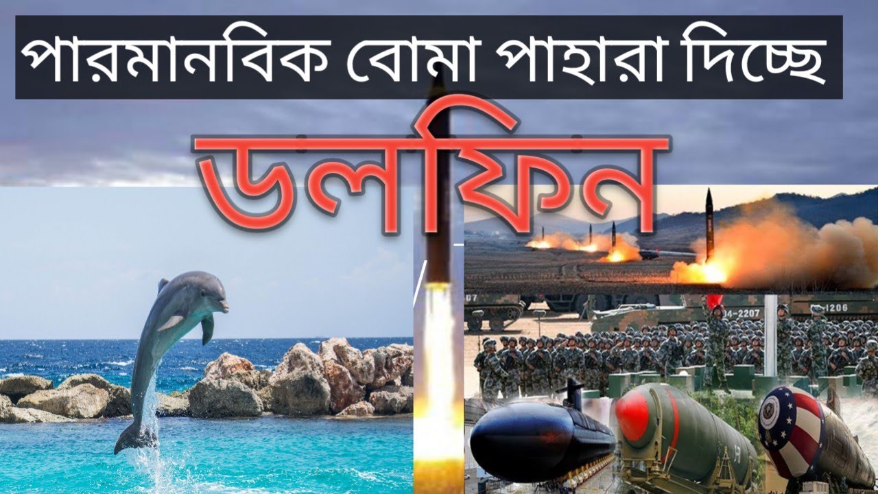 পারমানবিক বোমা পাহারা দিচ্ছে ডলফিন। Chandrodip media.Dolphins guarding ...