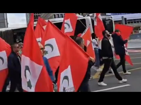 ZEFZAFI 🆚 LES RIFAINS ET L’ALGÉRIE - YouTube