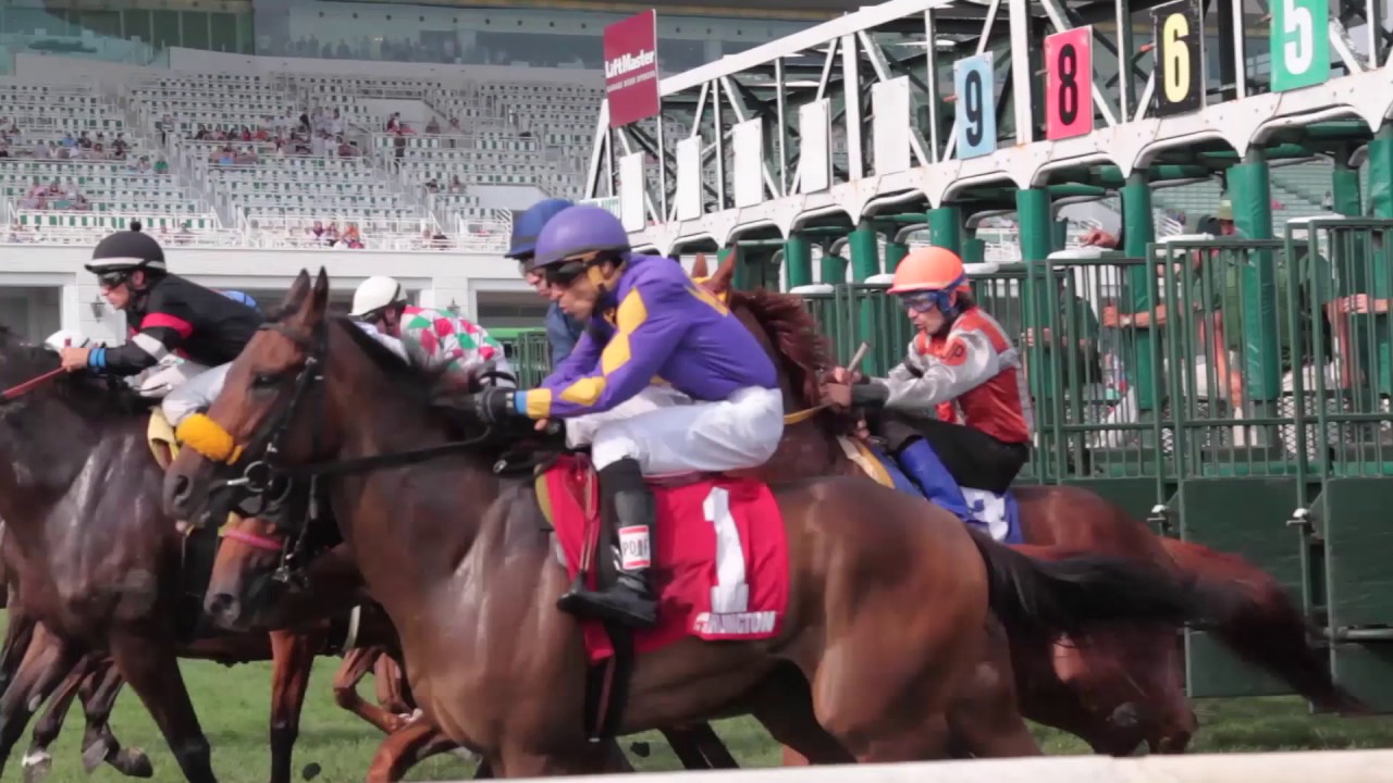 Arlington Park International Racecourse - YouTube