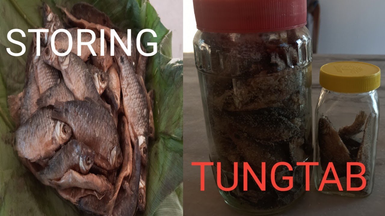 storing of tungtab "fermented fish" - YouTube
