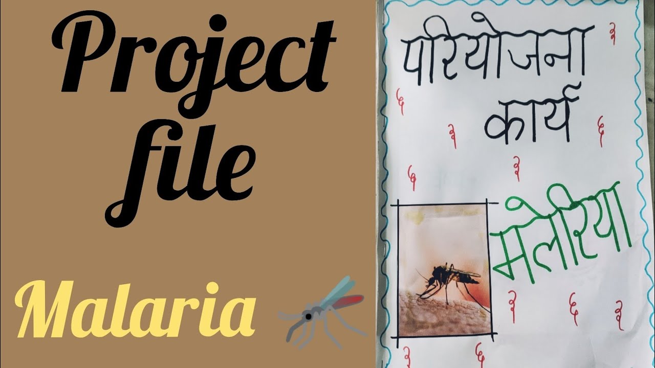 Malaria project file/मलेरिया project file/malaria project file ...