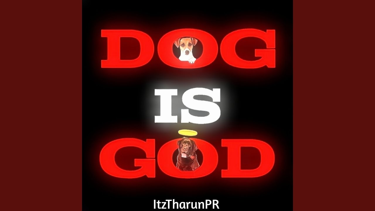 DOG is GOD - YouTube